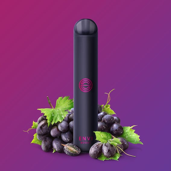 ENVI Boost Disposable Vape – VIX Vape